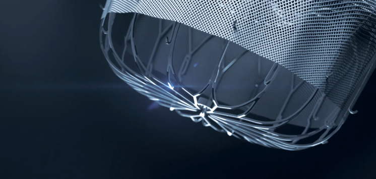 WATCHMAN FLX™ - Boston Scientific